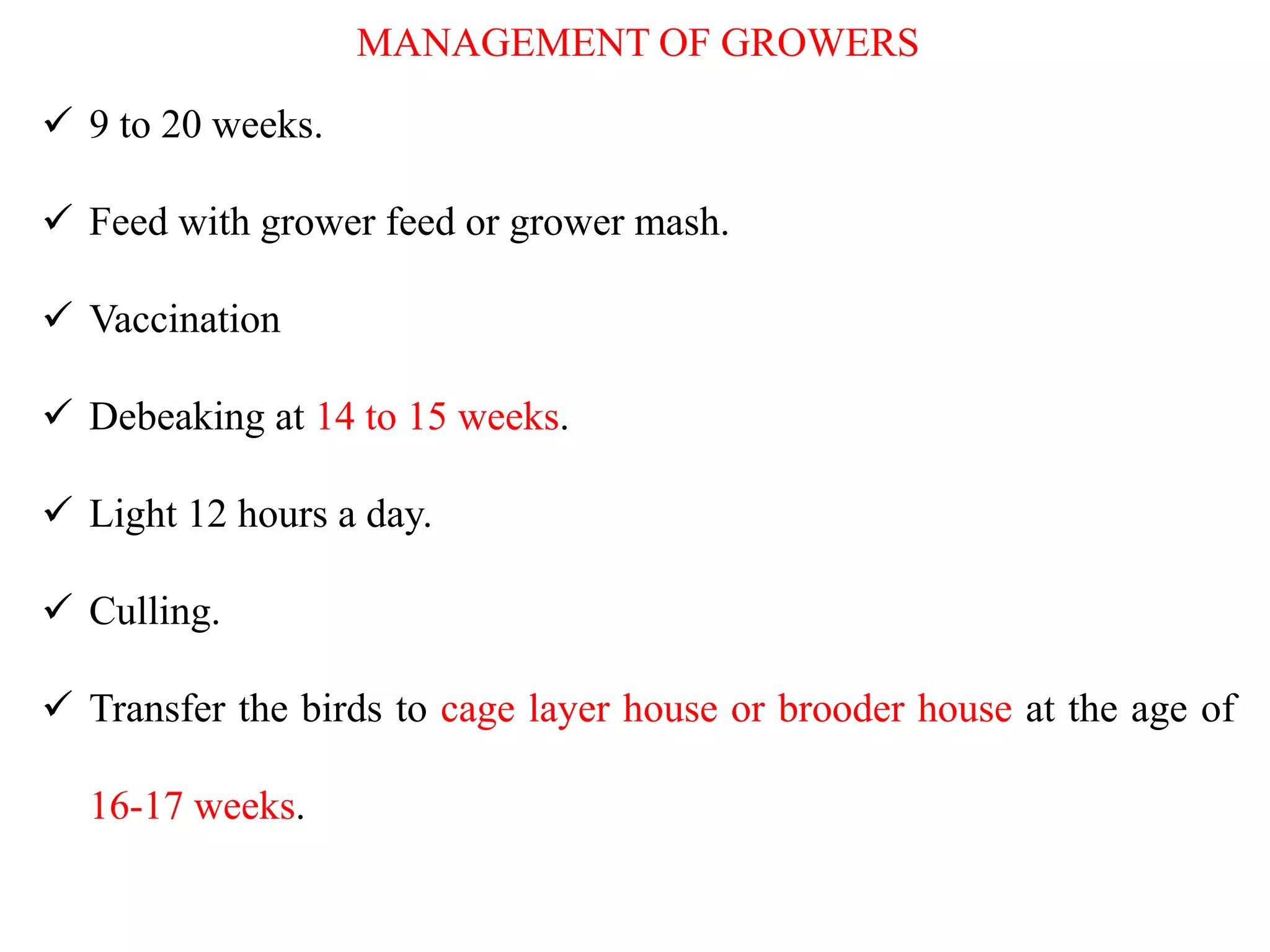Practical Unit 14 Management of Chicks, Growers, and Layers.pptx