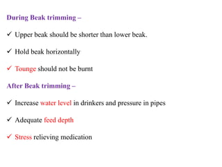 Practical Unit 15 Debeaking, Vaccination, and dusting in Poultry.pptx