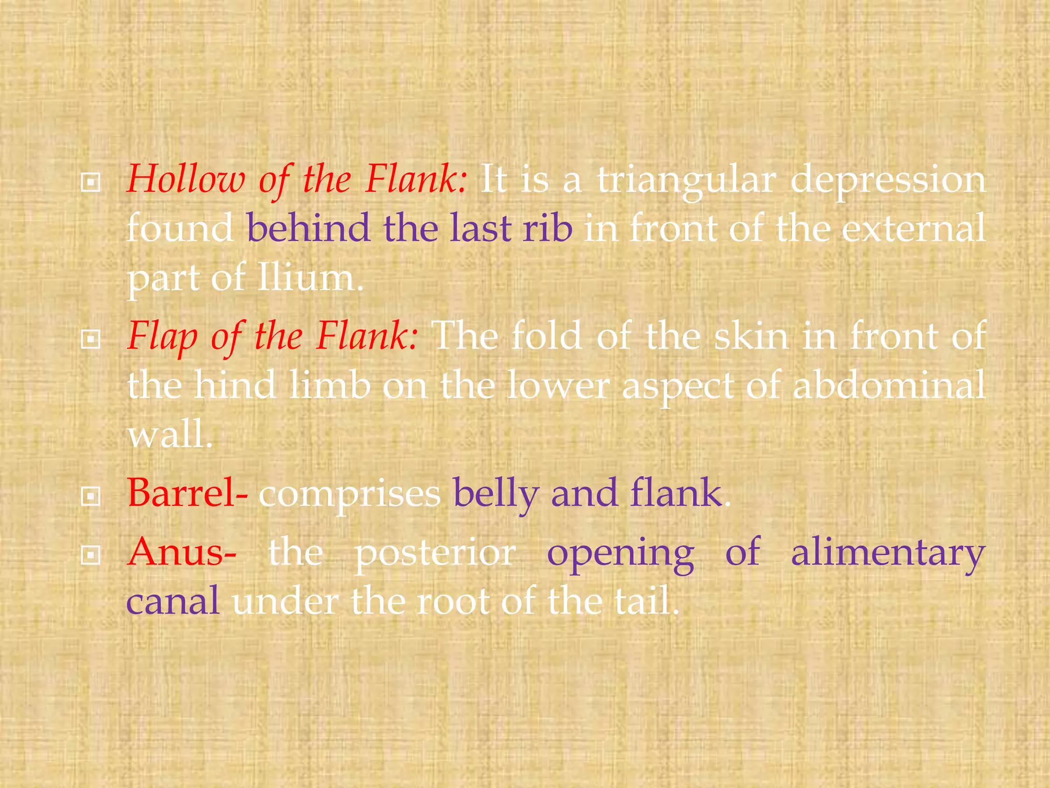 Practical Unit 1 Familiarization of body parts of different domestic ...