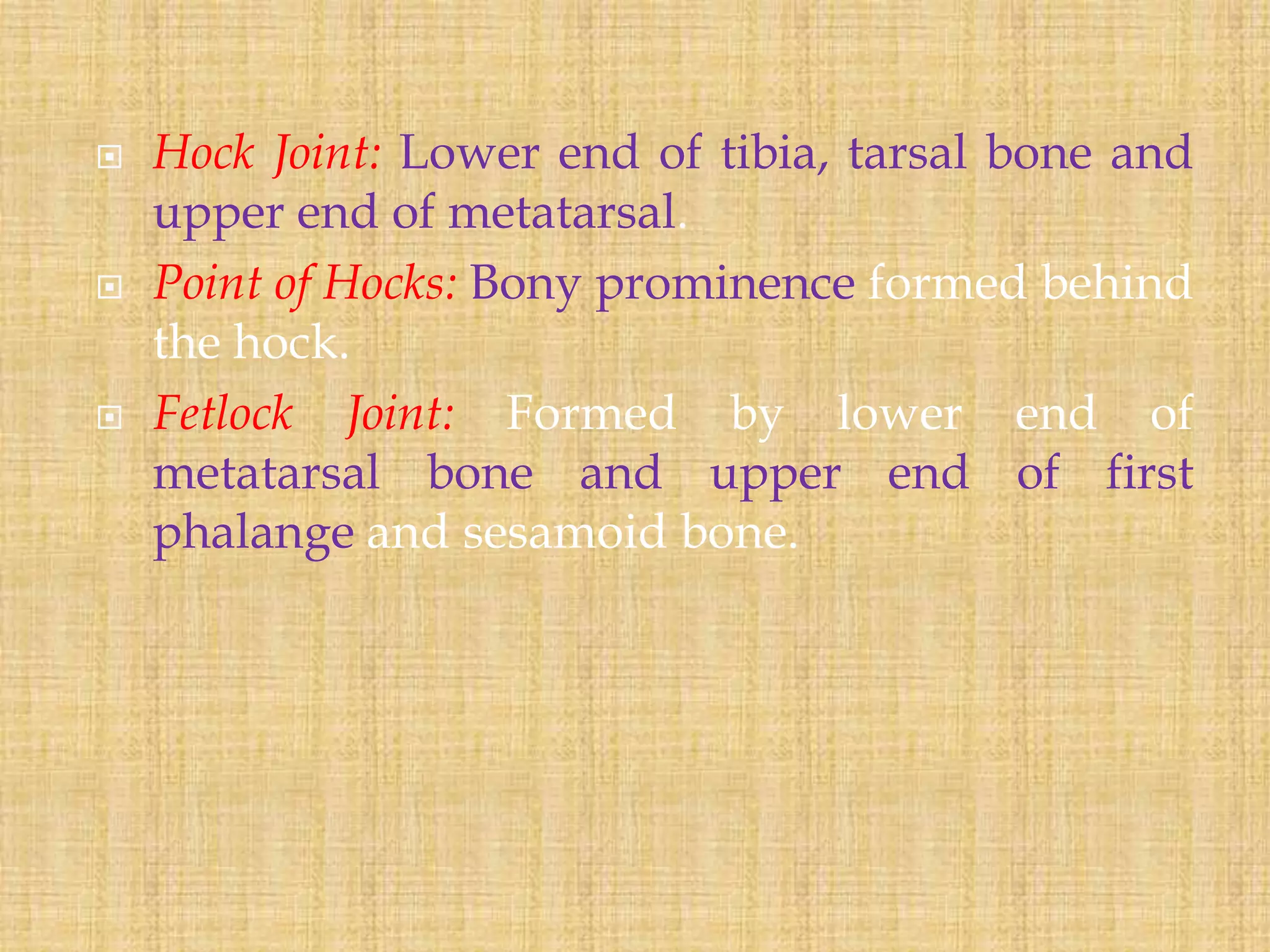 Practical Unit 1 Familiarization of body parts of different domestic ...