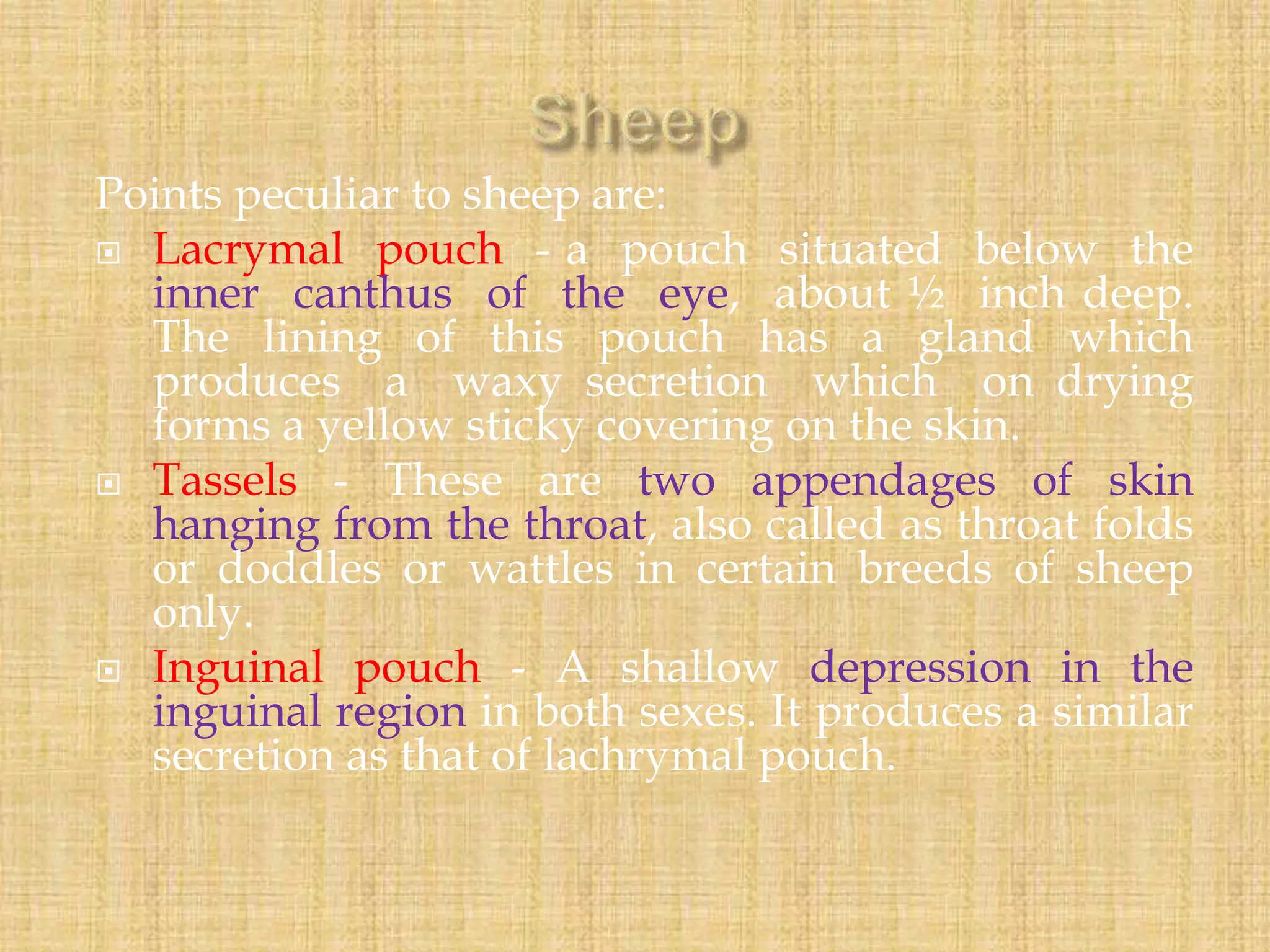 Practical Unit 1 Familiarization of body parts of different domestic ...