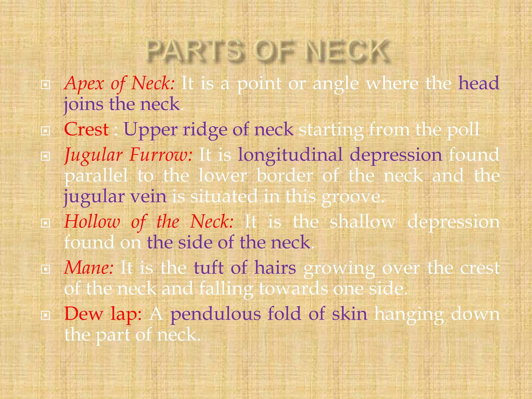Practical Unit 1 Familiarization of body parts of different domestic ...