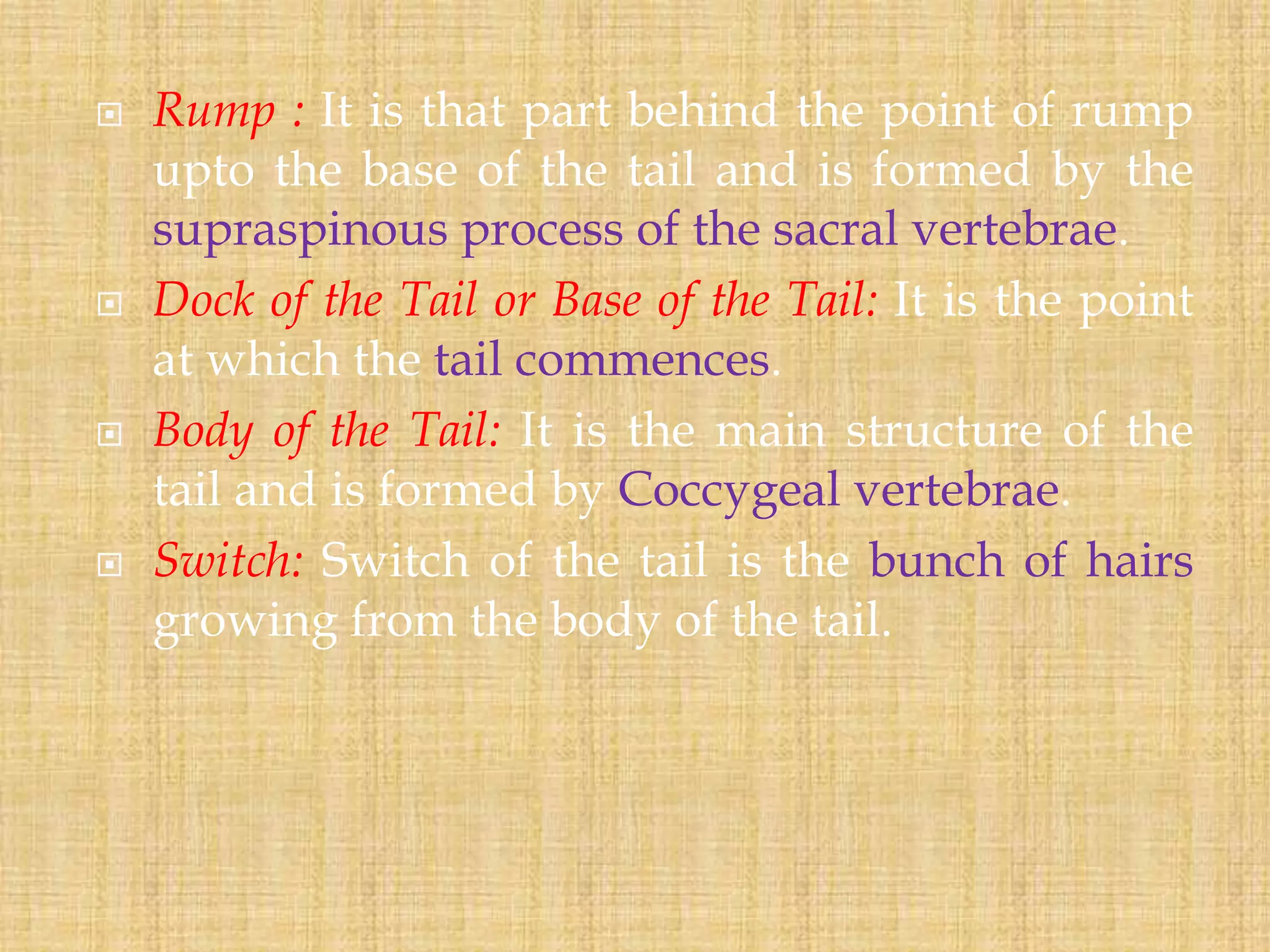 Practical Unit 1 Familiarization of body parts of different domestic ...