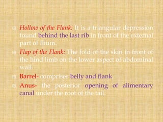 Practical Unit 1 Familiarization of body parts of different domestic ...