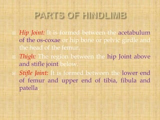 Practical Unit 1 Familiarization of body parts of different domestic ...