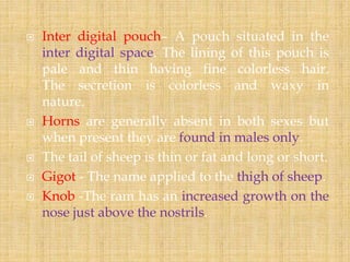 Practical Unit 1 Familiarization of body parts of different domestic ...