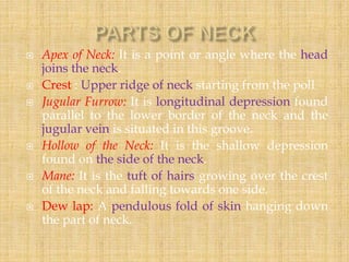 Practical Unit 1 Familiarization of body parts of different domestic ...