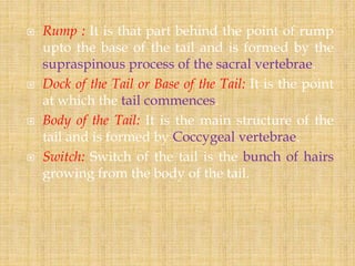 Practical Unit 1 Familiarization of body parts of different domestic ...