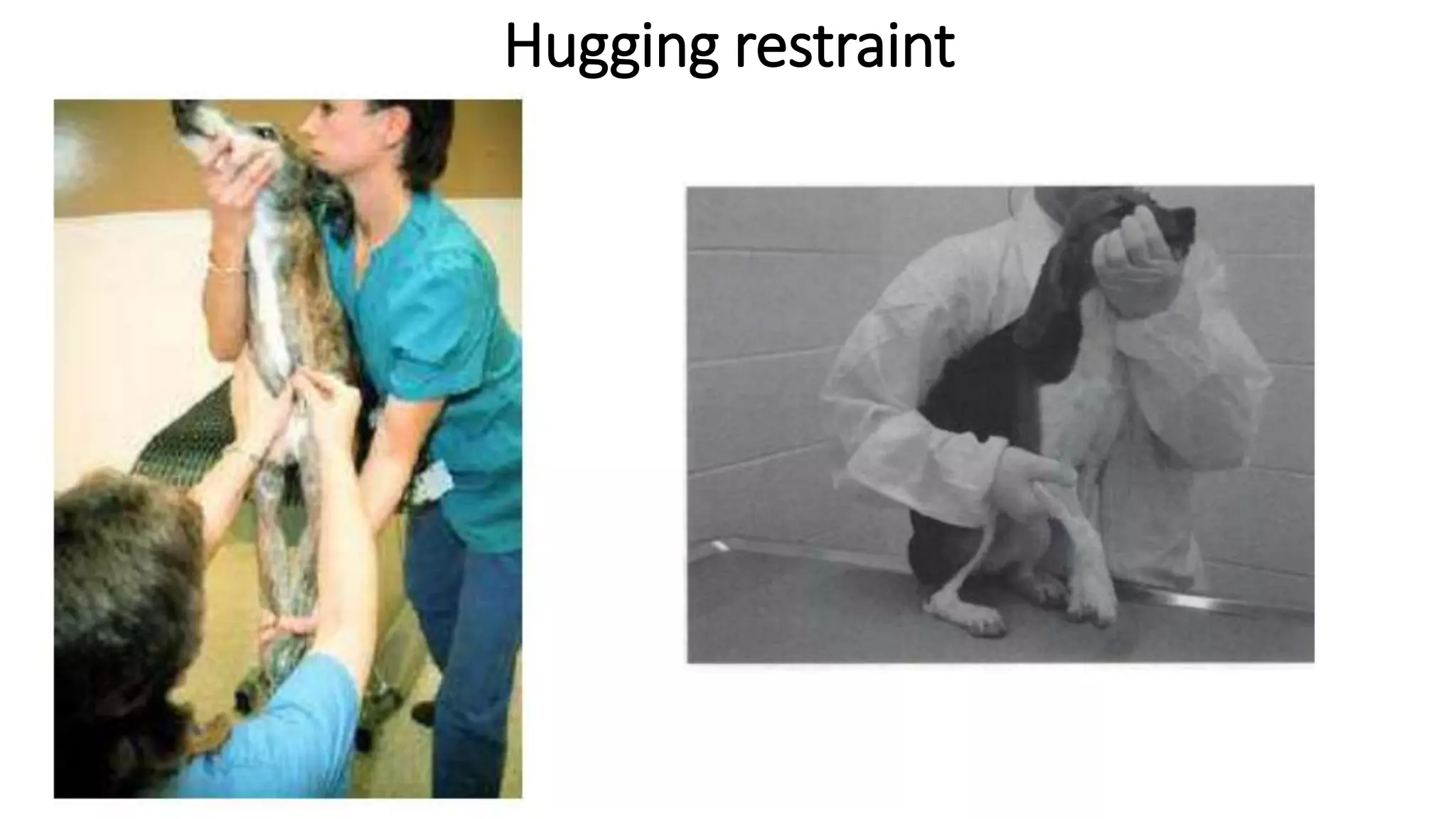 Practical Unit 2 Approaching, Handling methods, and restraining.pptx