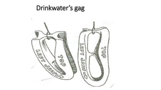 Practical Unit 2 Approaching, Handling methods, and restraining.pptx