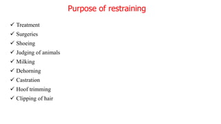 Practical Unit 2 Approaching, Handling methods, and restraining.pptx