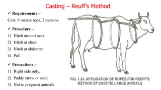 Practical Unit 2 Approaching, Handling methods, and restraining.pptx ...