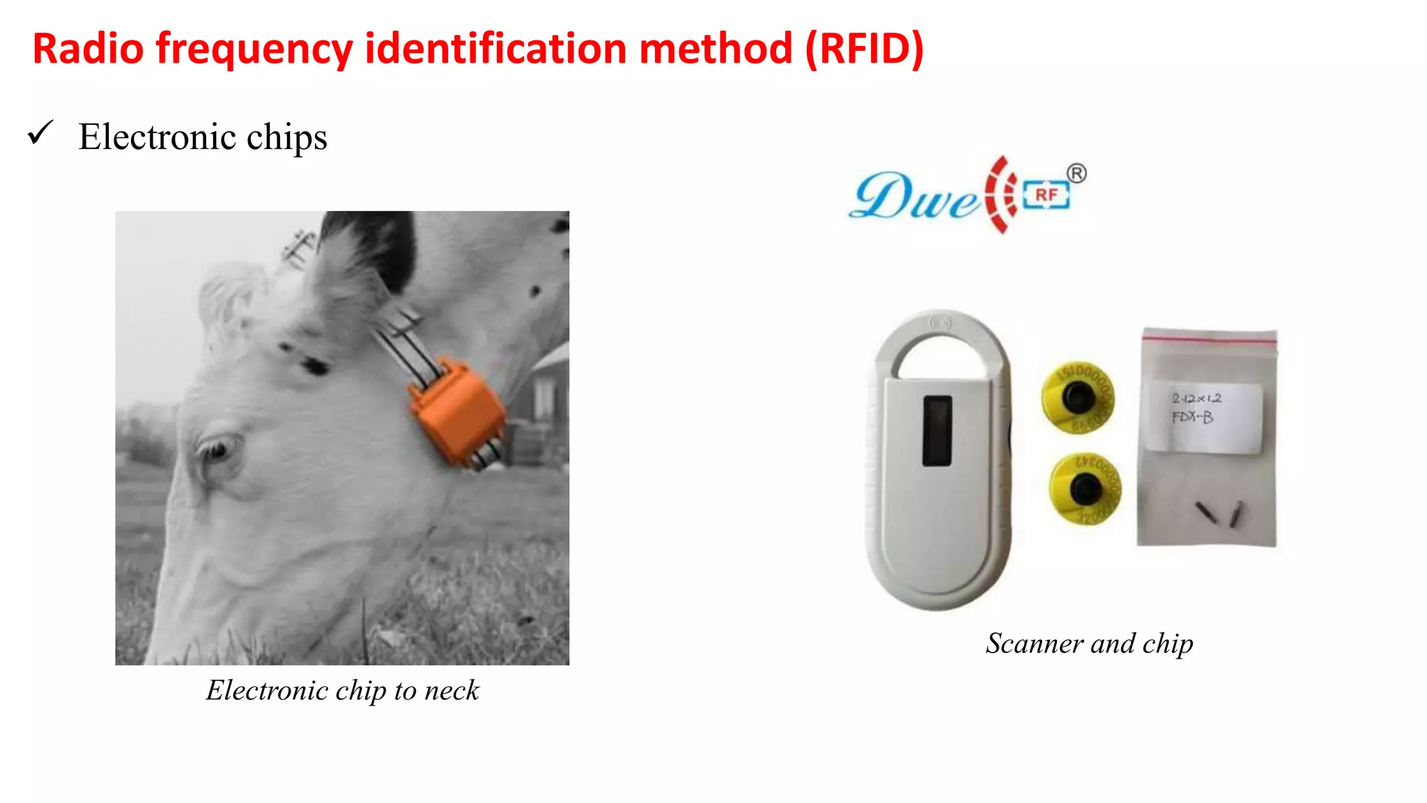 Practical Unit 4 Identification methods of farm animals and poultry.pptx
