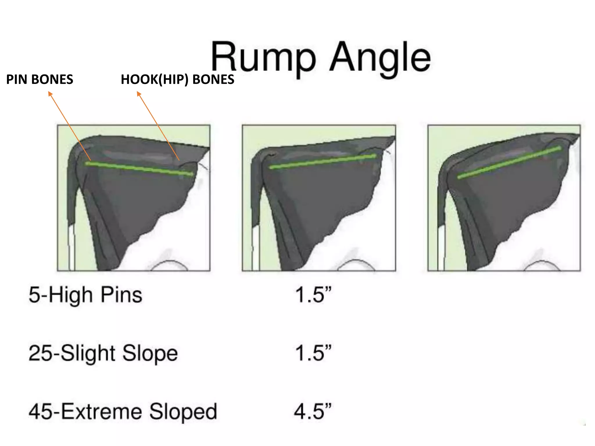 Practical Unit 7 Judging of cattle, buffalo, and poultry.pptx