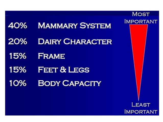 Practical Unit 7 Judging of cattle, buffalo, and poultry.pptx