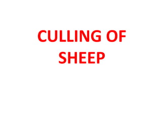 Practical Unit 8 Culling of livestock and poultry.pptx