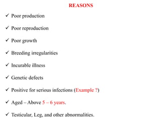 Practical Unit 8 Culling of livestock and poultry.pptx