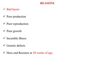 Practical Unit 8 Culling of livestock and poultry.pptx