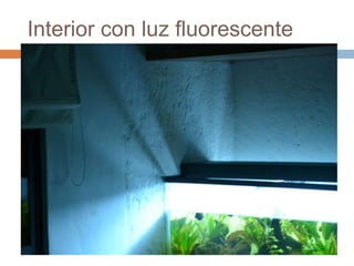Practica luz y color | PPTX
