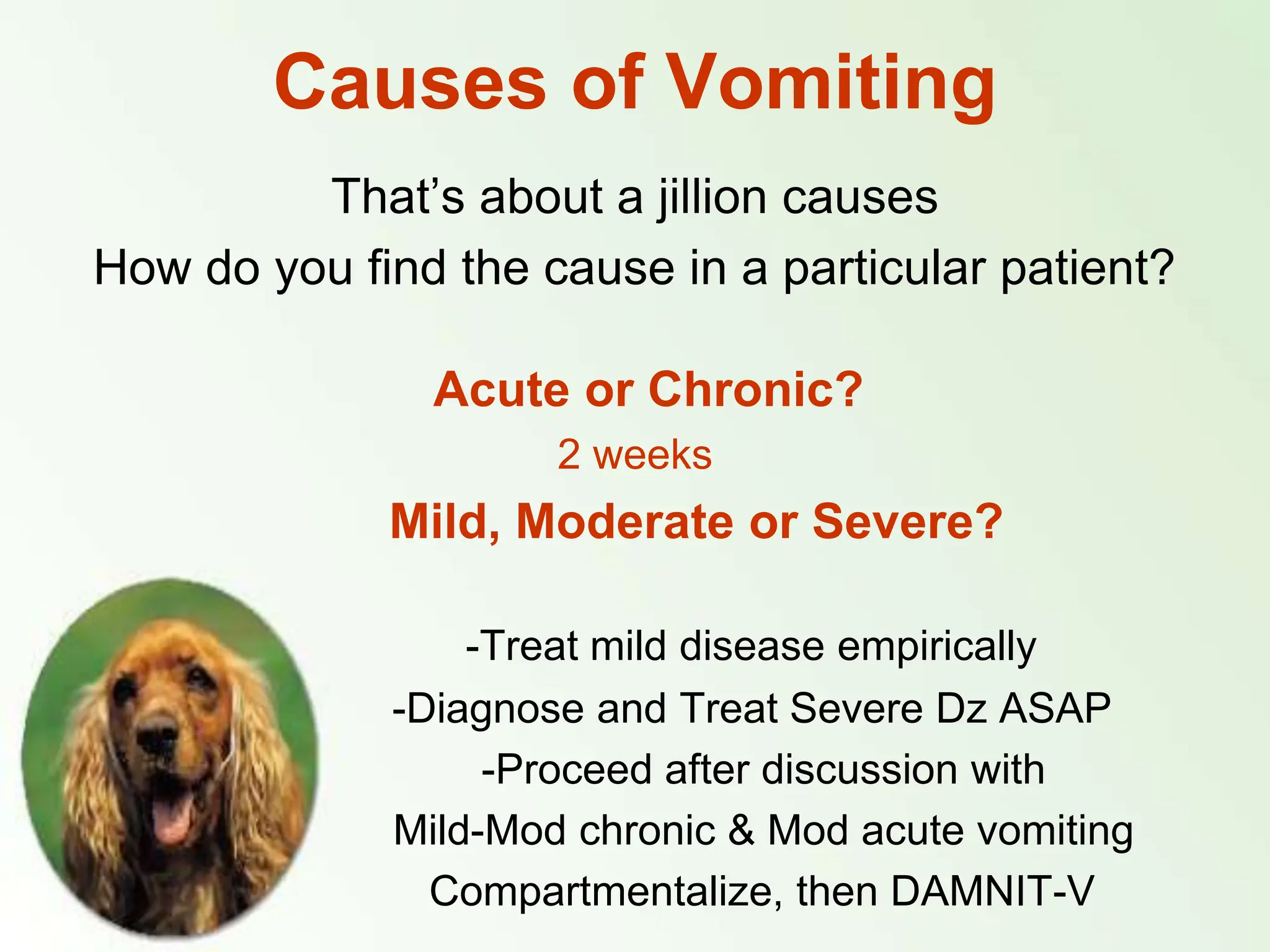 Practical VETERINARY Internal Medicine.ppt
