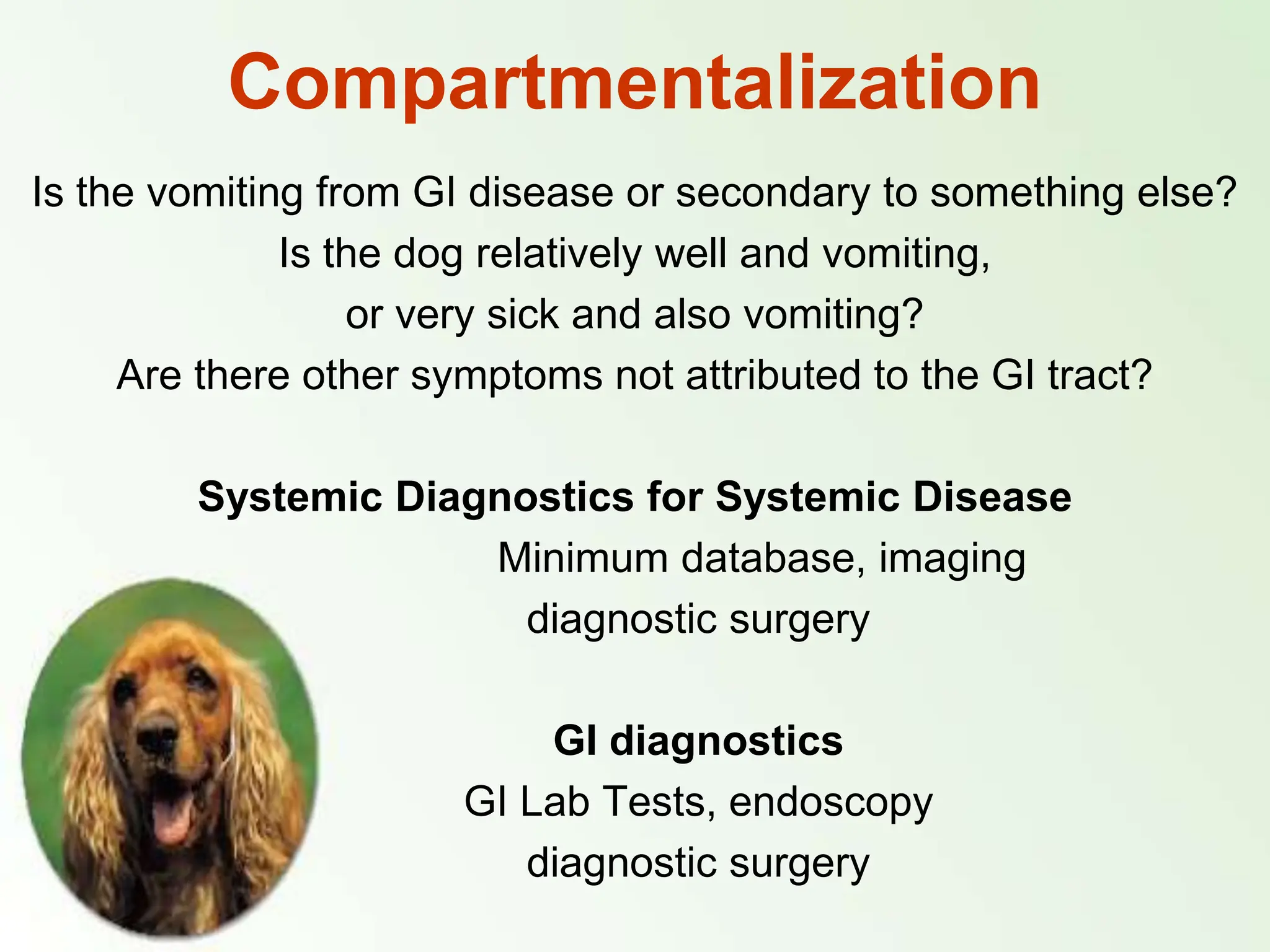 Practical VETERINARY Internal Medicine.ppt