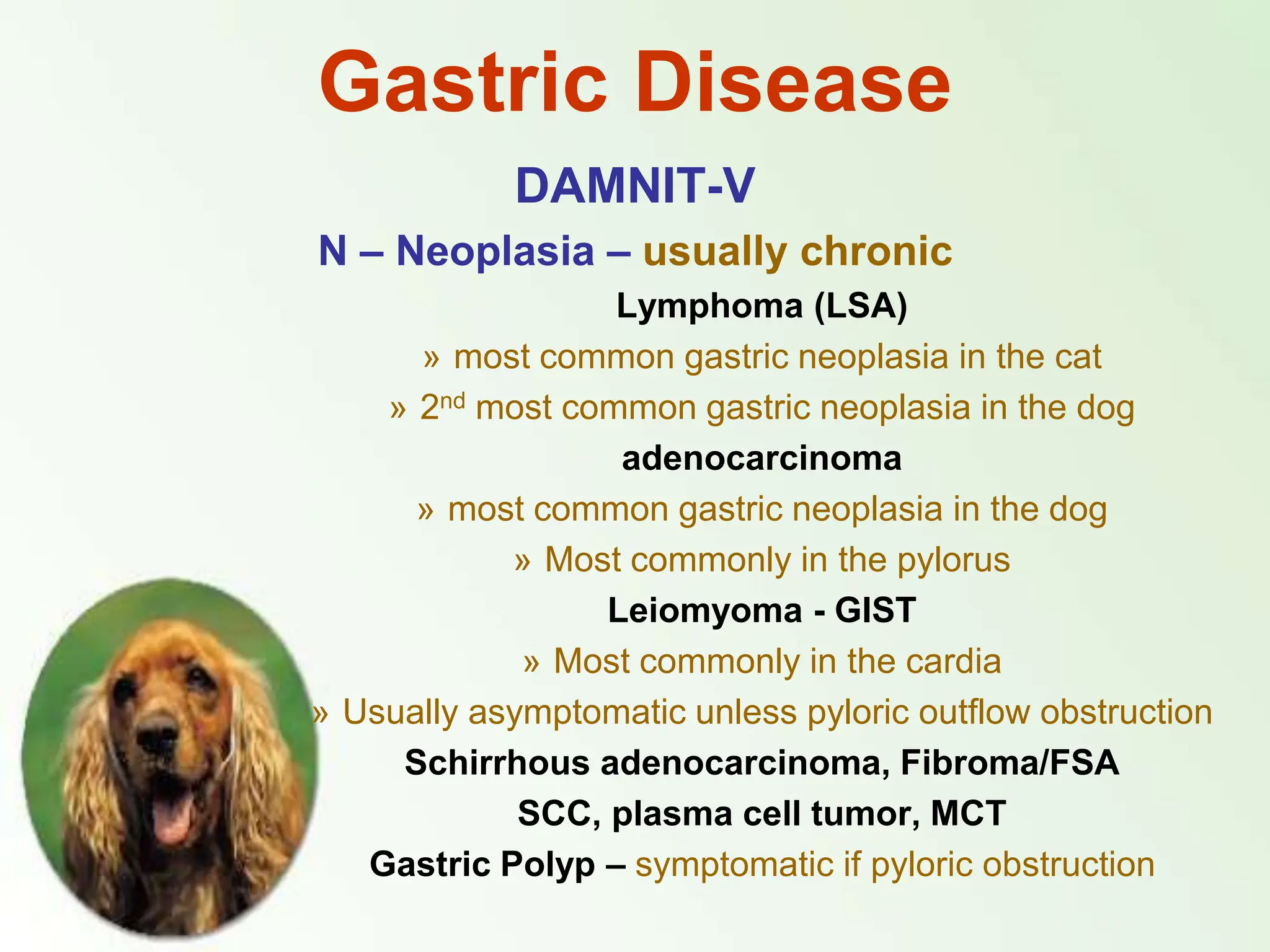 Practical VETERINARY Internal Medicine.ppt