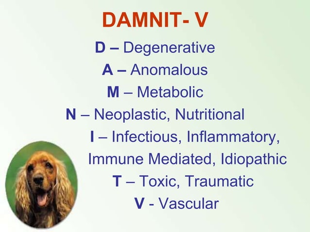 Practical VETERINARY Internal Medicine.ppt | Digestive Disorders ...