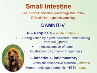Practical VETERINARY Internal Medicine.ppt