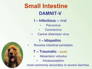 Practical VETERINARY Internal Medicine.ppt