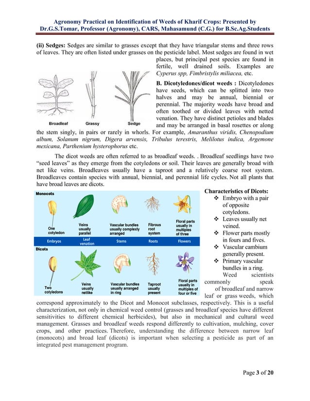 Practical on Weed Identification of Kharif Crops by Dr.G.S.Tomar | PDF