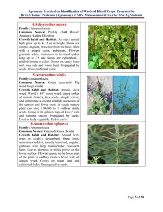Practical on Weed Identification of Kharif Crops by Dr.G.S.Tomar | PDF