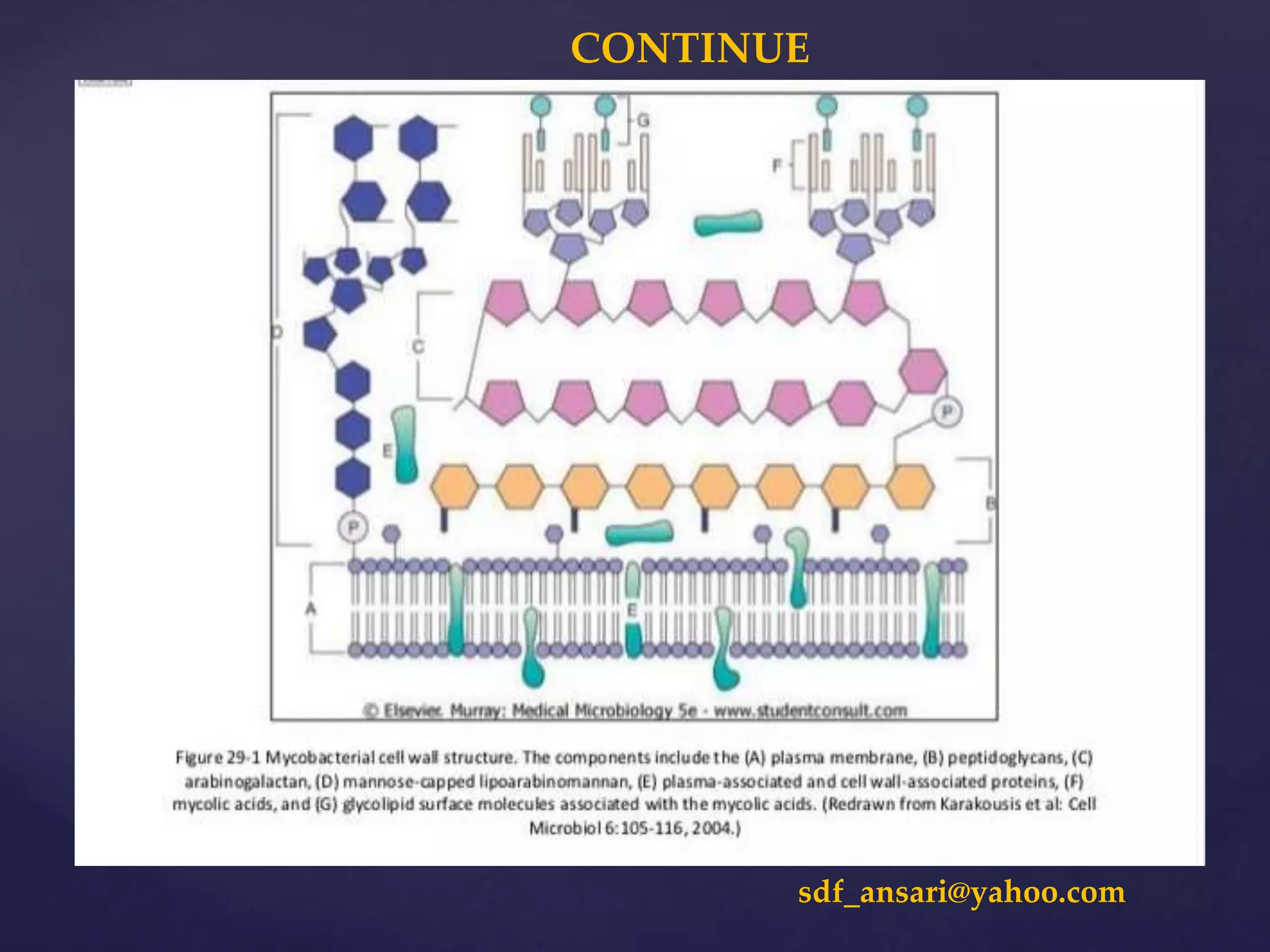 Practical z n staining | PPTX