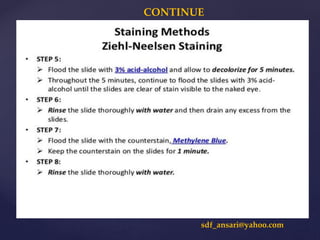 Practical z n staining | PPTX