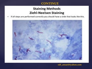 Practical z n staining | PPTX
