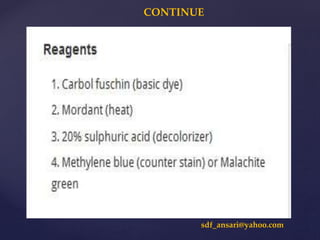Practical z n staining | PPTX | Science