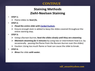 Practical z n staining | PPTX | Science