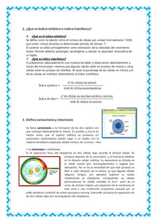 PRACTICA N°12:CICLO CELULAR: DIVISIÓN CELULAR: LA MITOSIS | DOCX