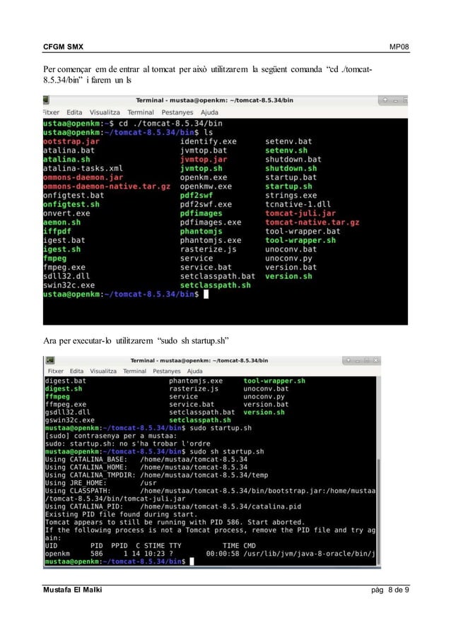 Tutorial instal·lació OpenKm en una maquina Debian | PDF