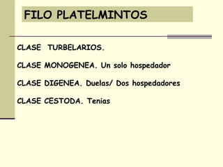 Platelmintos por Jhon Ortiz | PPT