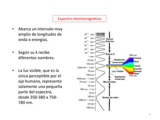 PRACTICAS 3 ESPECTRO BQM (1).ppt
