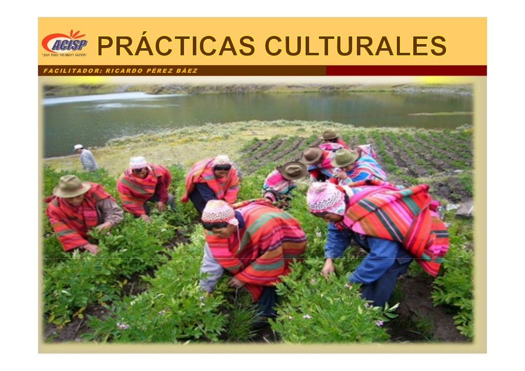 Practicas Culturales