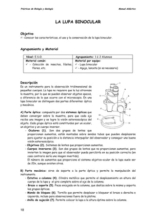 Practicas de Biologia.pdf