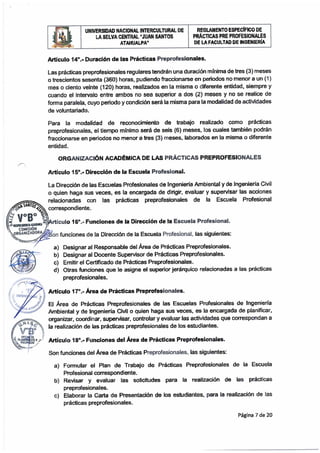 practicas preprofesionales.pdf