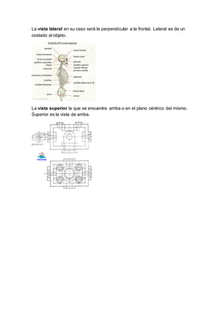 Practicas de vistas | PDF