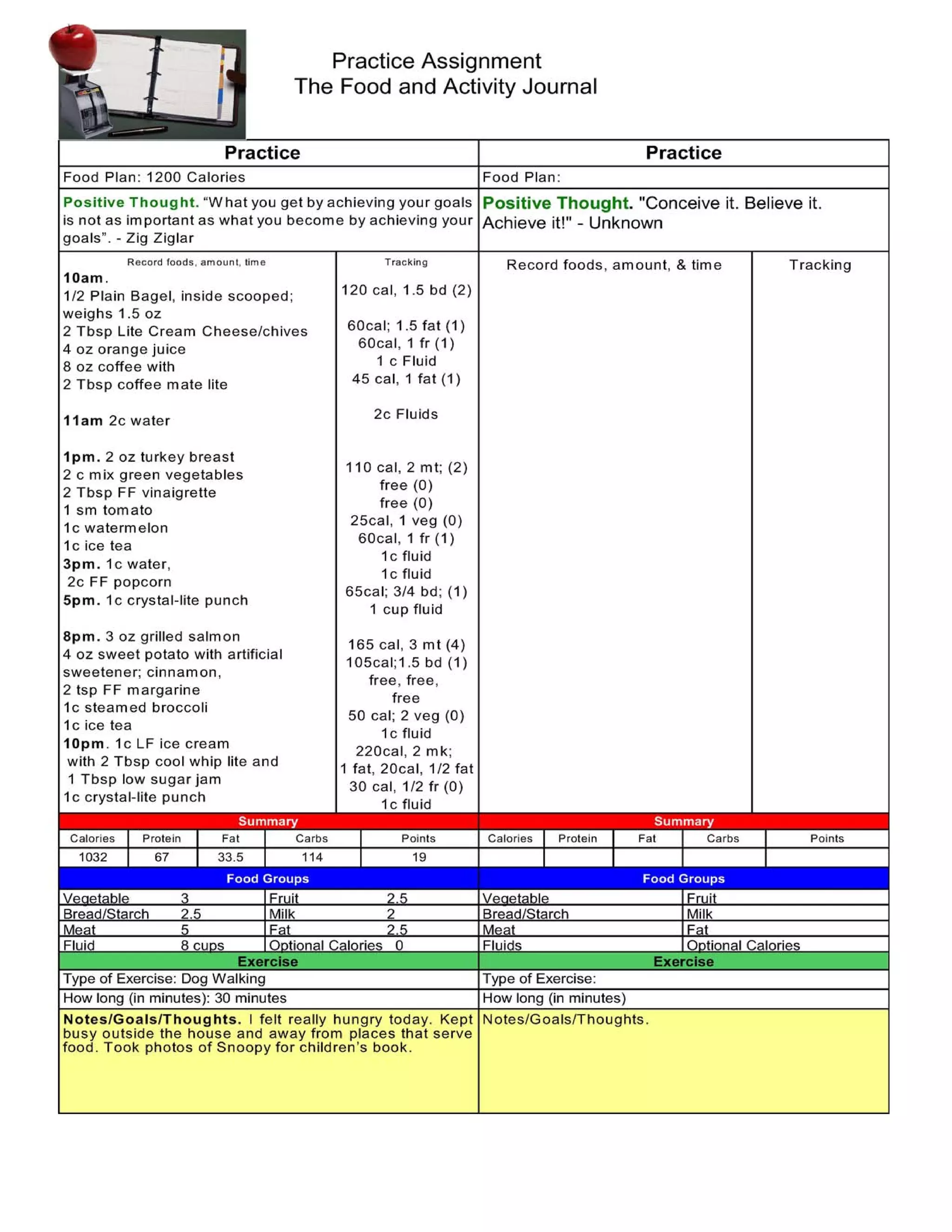 Food and Activity Journal | PDF