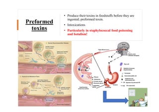 GI tract infection | PDF