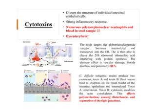 GI tract infection | PDF