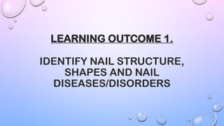 Practice Basic Nail Design - Copy.pptx.. | PPTX