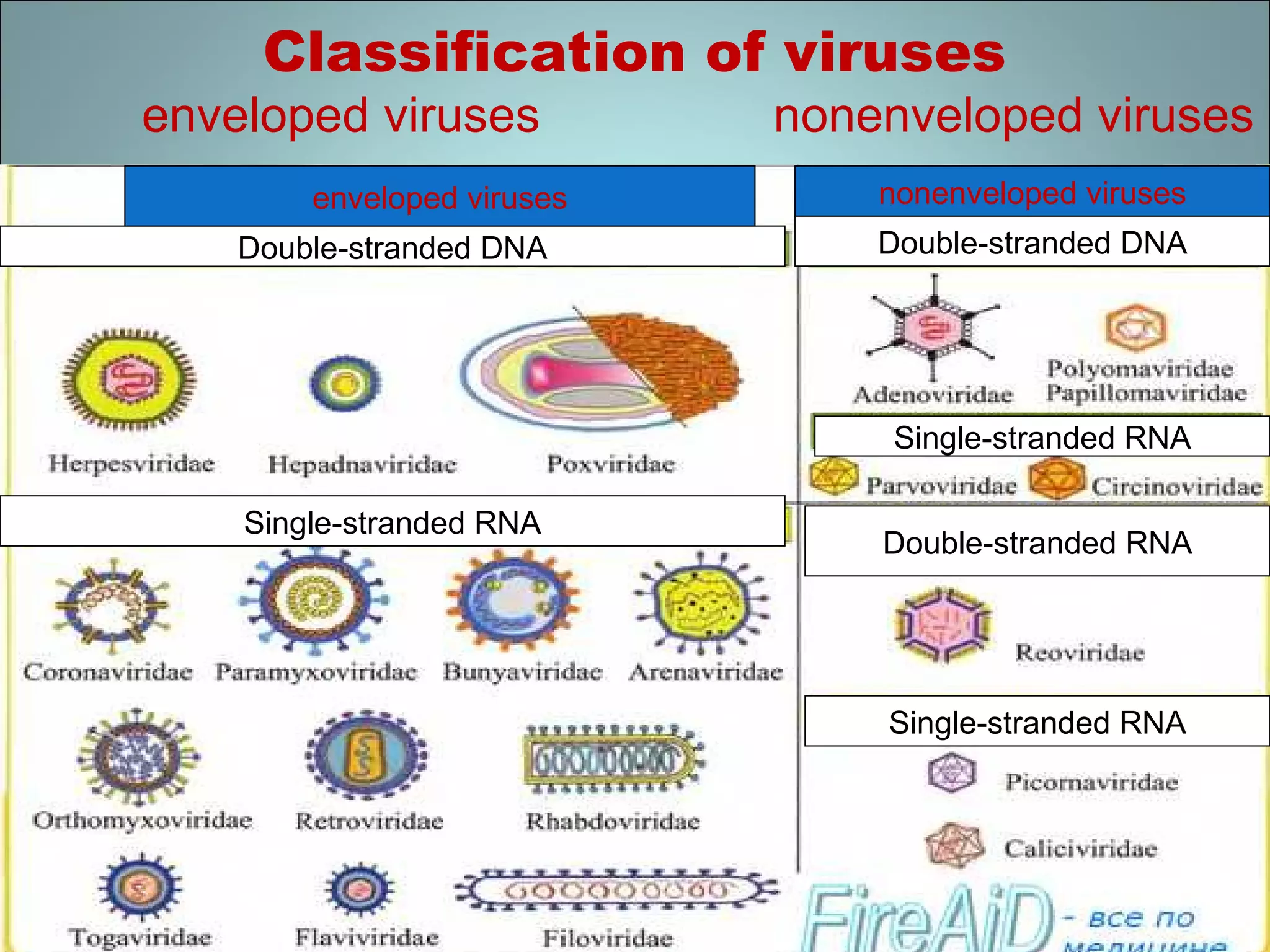 Practice general virology RNRMU | PPT