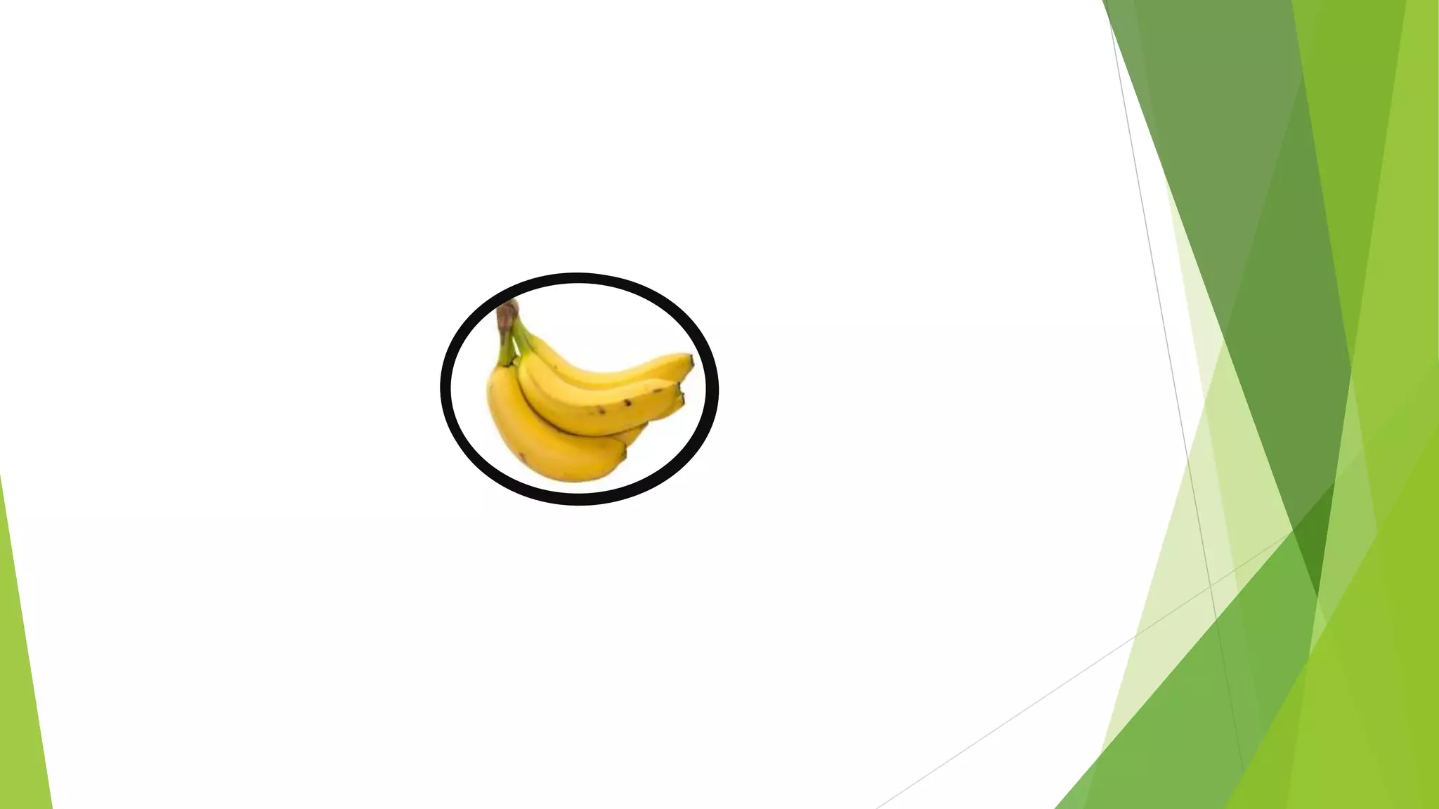 practice morph .pptx